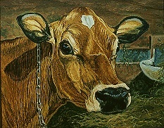 Sunny Beach Farm Studios - Cow Art Equine Artist Larry Schultz of ...