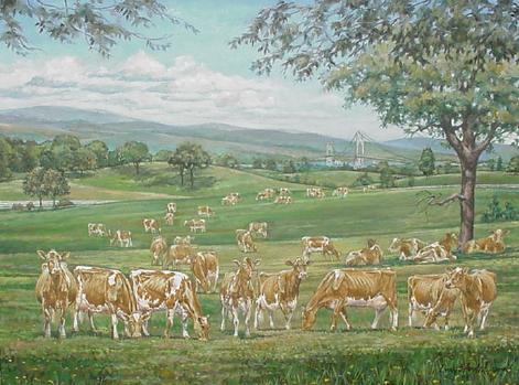 Sunny Beach Farm Studios - Cow Art Equine Artist Larry Schultz of ...
