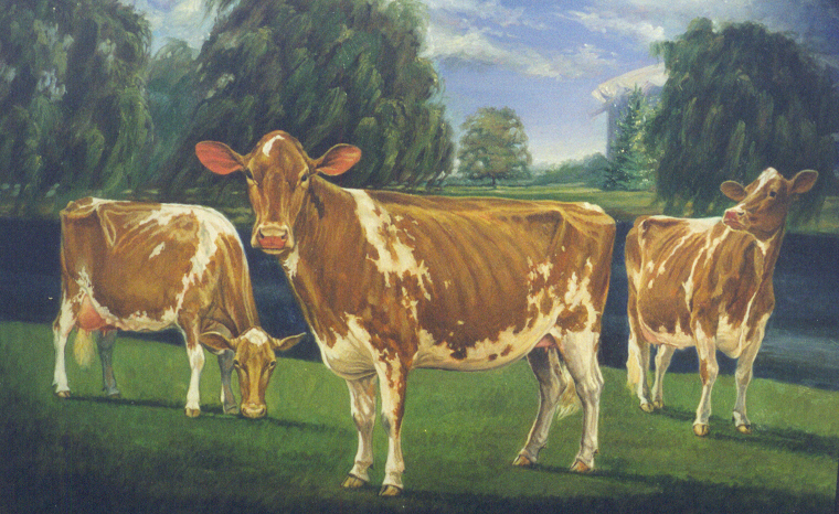 Sunny Beach Farm Studios - Cow Art Equine Artist Larry Schultz of ...