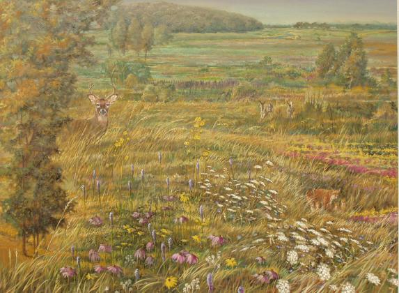 Sunny Beach Farm Studios - Cow Art Equine Artist Larry Schultz of ...