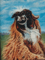 Sunny Beach Farm Studios - Cow Art Equine Artist Larry Schultz of ...